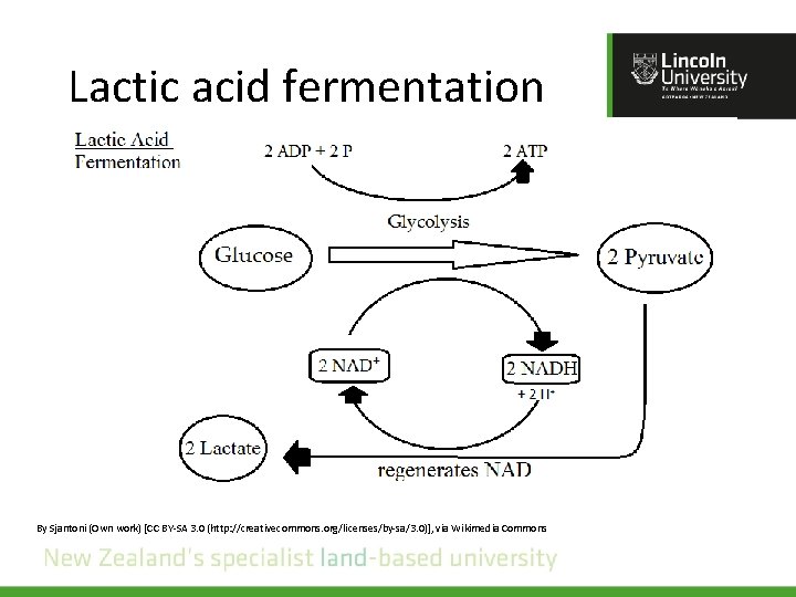 BIOS 110 INTRODUCTION TO BIOLOGY IMPORTANCE AND APPLICATIONS