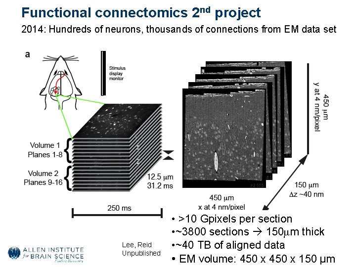 DBP 5 Functional Connectomics Terascale Reconstructions of Cortical