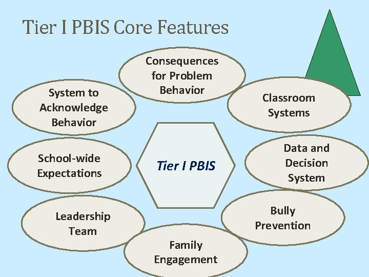 Implementing Applied Behavior Analysis at Scales of Social