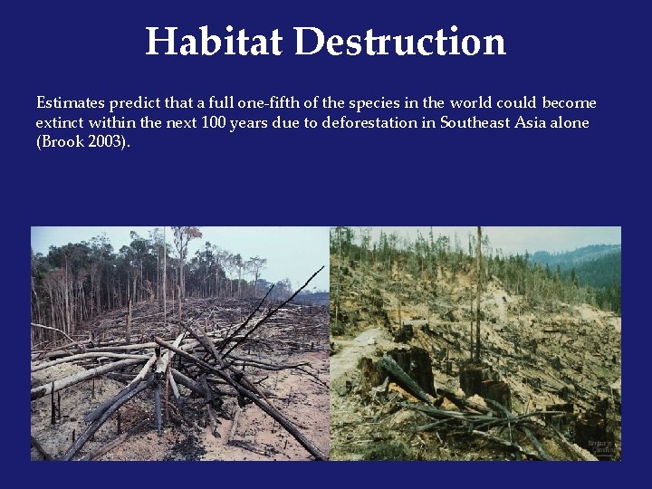 Biodiversity Life on Earth and How Were Losing