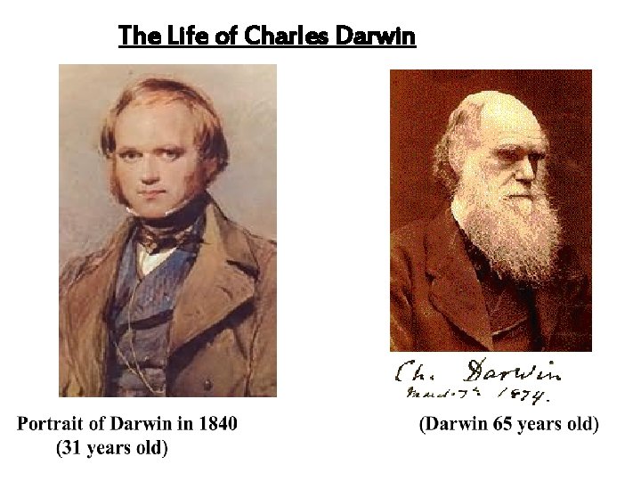 NOTES CH 16 Darwins Theory of Evolution by