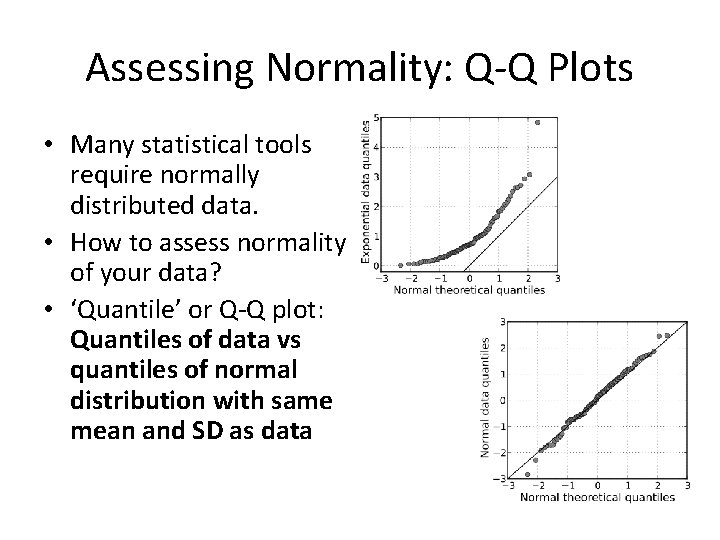 Statistics Biology Shellys Super Happy Fun Times February