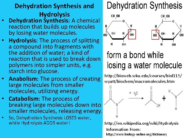 Atoms Atom the basic unit of matter Atoms