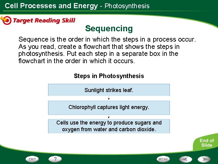 Cell Processes and Energy Table of Contents Photosynthesis