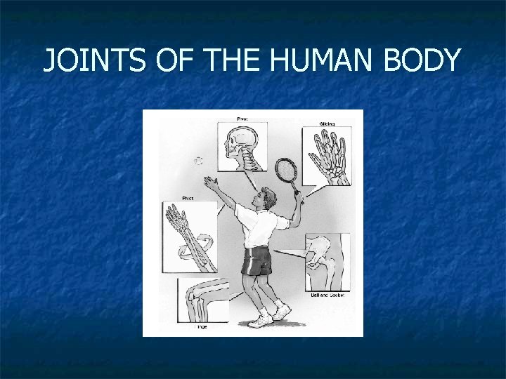 FLEXIBILITY The ability to move body joint through