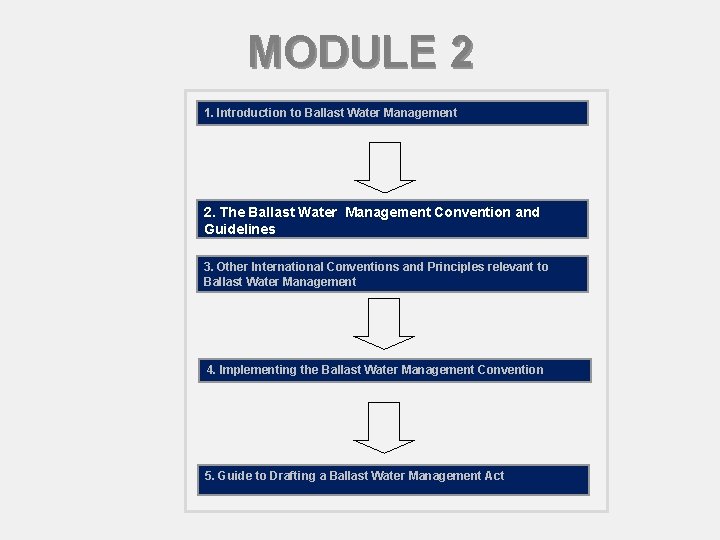 MODULE 2 Ballast Water Management Convention and Guidelines