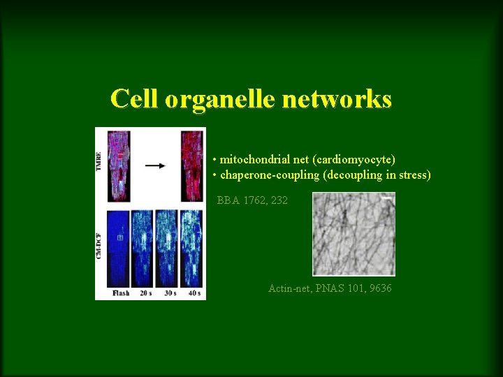 Networks and stability Part 7 Examples for networks