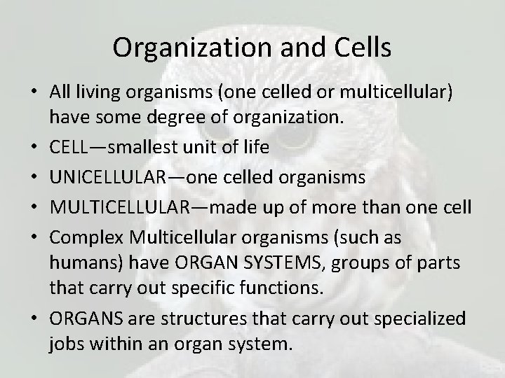 Chapter 1 Biology Scientific Process and Tools INTERACTIVE