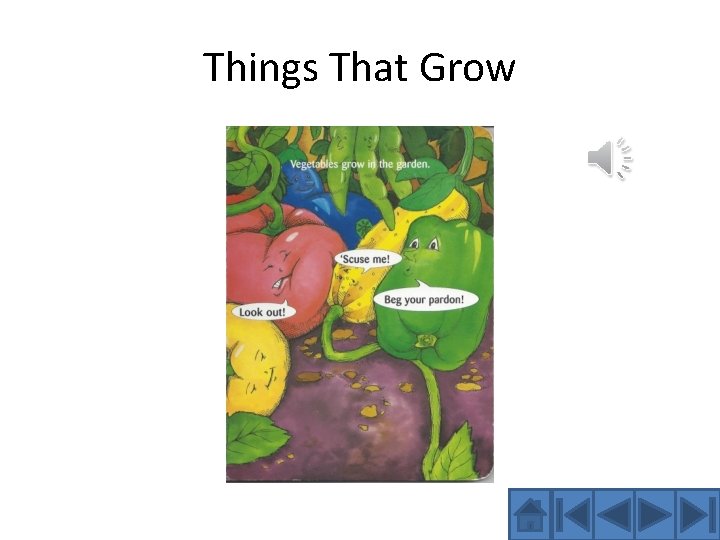 Things That Grow Illustrated by Renee Trachtenberg 1997