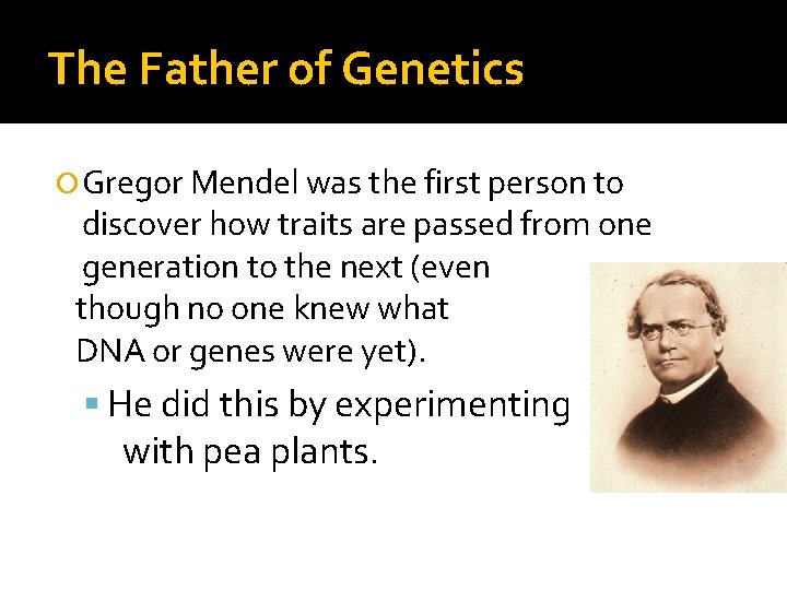 Ch 11 Introduction to Genetics A Brief History