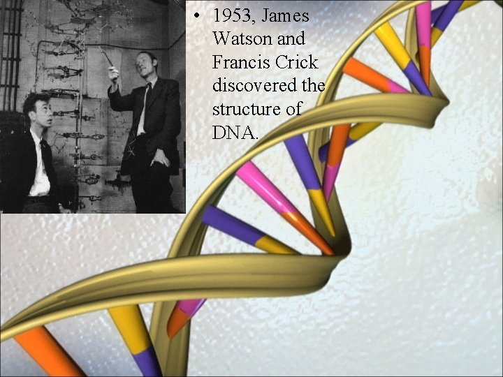 Historical Timeline of Genetics 10 th Grade Biology