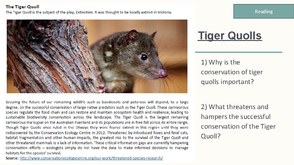 Extinction by Hannie Rayson Context Extinction by Hannie