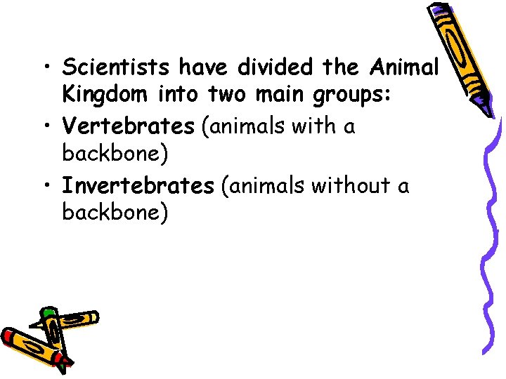 Classification of Animals Vertebrate vs Invertebrate Why Classify