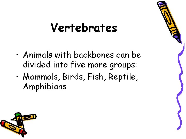 Classification of Animals Vertebrate vs Invertebrate Why Classify