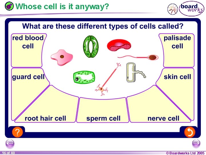 KS 3 Biology 7 A Cells 1 of