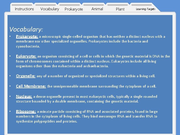 Instructions Vocabulary Prokaryote CELL A Journey into the