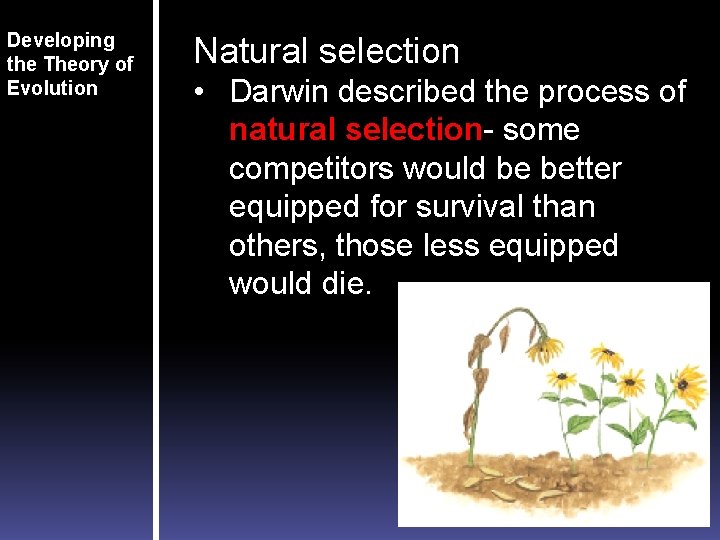 DARWINS THEORY OF EVOLUTION BY NATURAL SELECTION Chapter