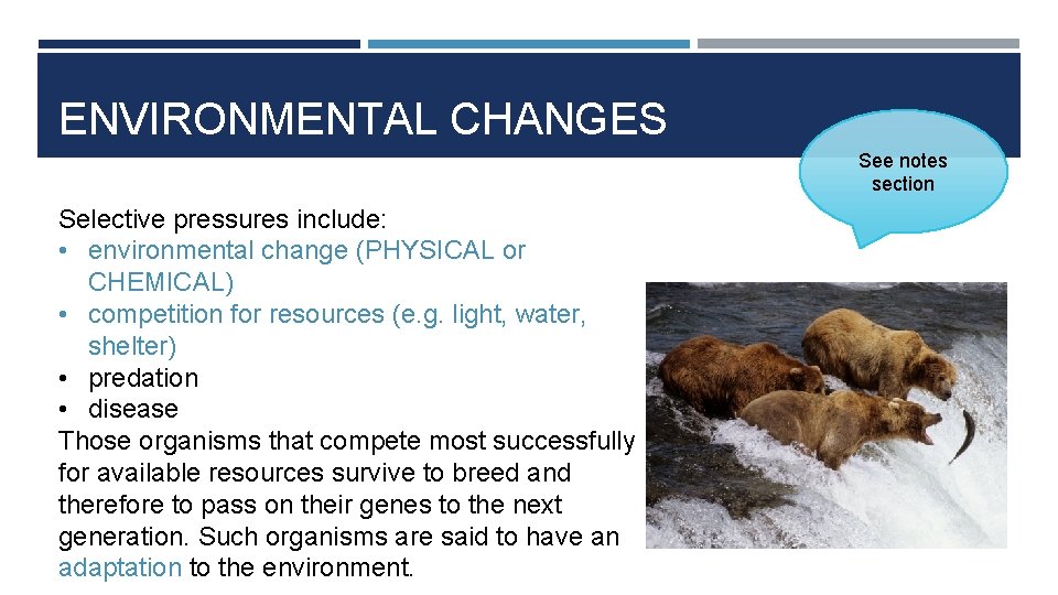 BLUEPRINT OF LIFE MISS HERETAKIS EVOLUTION 1 Evidence