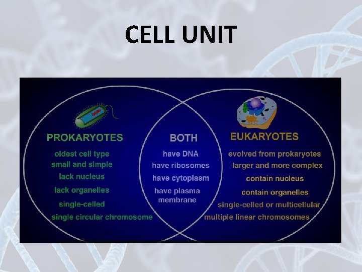MIDTERM REVIEW Honors Biology CELL UNIT 1 CELLULAR