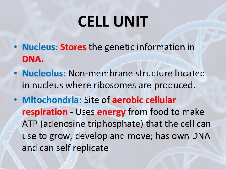 MIDTERM REVIEW Honors Biology CELL UNIT 1 CELLULAR