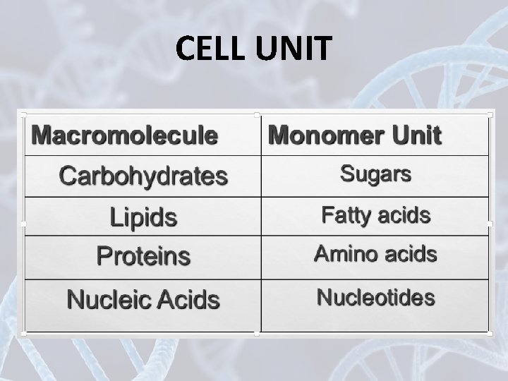 MIDTERM REVIEW Honors Biology CELL UNIT 1 CELLULAR