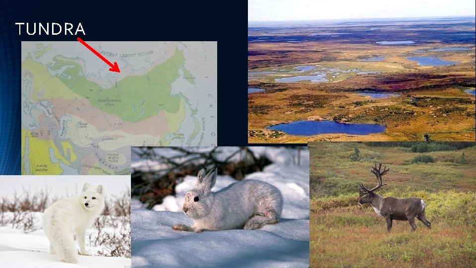 1 Ob 2 Jenisej 3 Lena 4 Amur