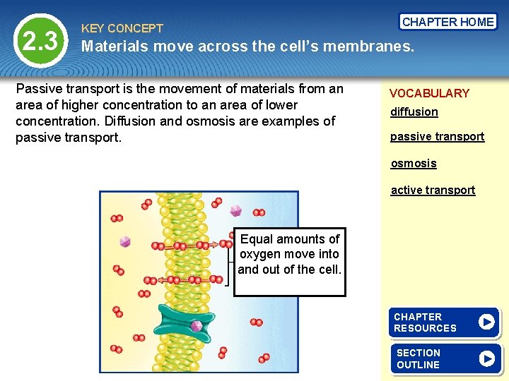 CHAPTER NEW CHAPTER How Cells Function the BIG