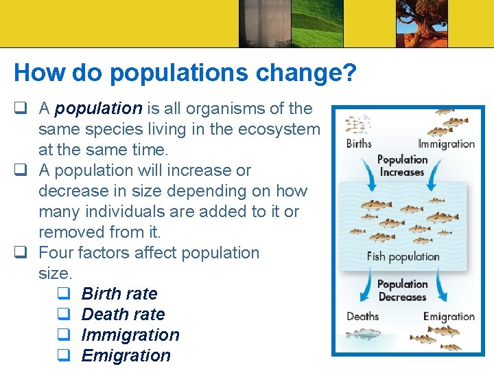 Topic 20 Dynamic Ecosystems DAY 3 Bellringer CHECK