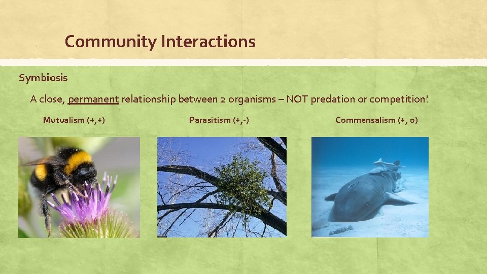 Ecology Module 15 Organization of the Biosphere Levels