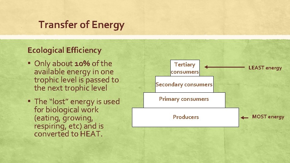 Ecology Module 15 Organization of the Biosphere Levels
