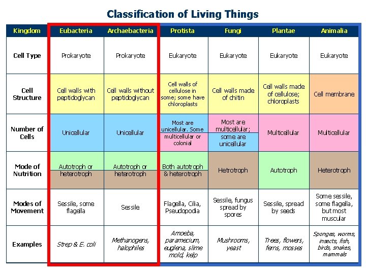 Classification of Living Things Kingdom Eubacteria Archaebacteria Protista