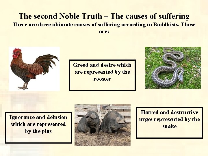 BUDDHISM The first Noble Truth Suffering The second