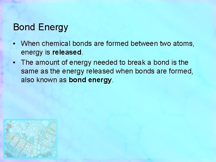 Unit 2 Metabolic Processes Metabolism and Energy SBI