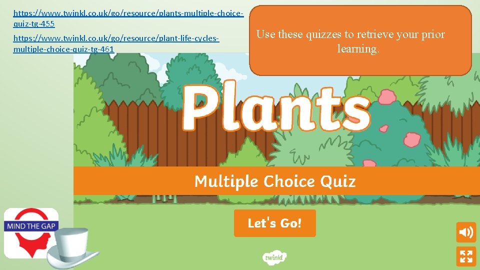 Science Applying my learning about flowering plants I