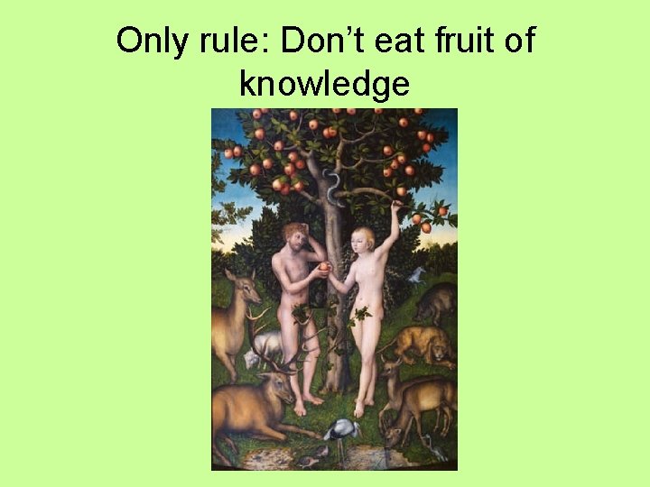 Lord of the Flies Guide to Biblical Allusions