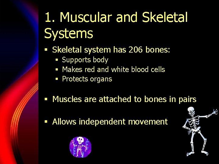 Interactions Between the Muscular and Five Other Systems