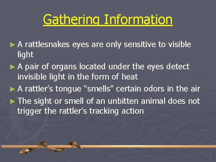Scientific Method Basic Steps The Rattlesnake Experiment 12312021
