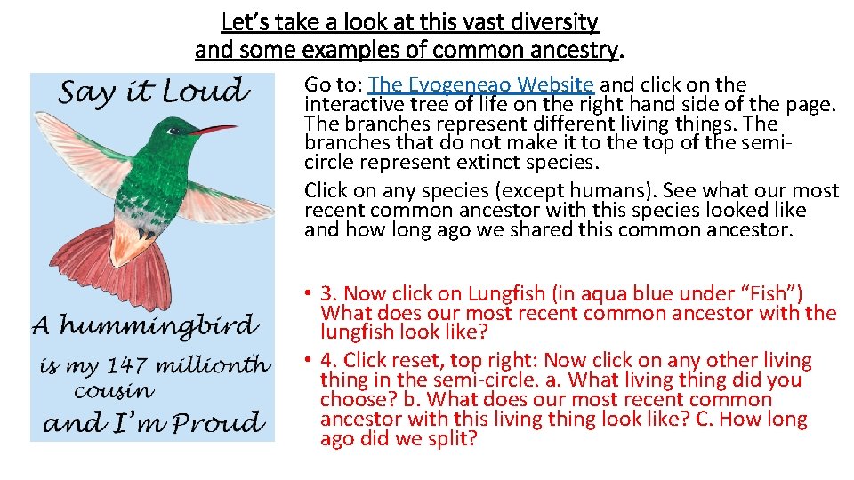 Guided lesson All About Evolution For grades 6