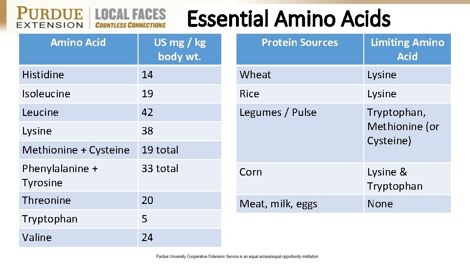 Plant and AnimalBased Proteins A Comparative Nutritional Assessment