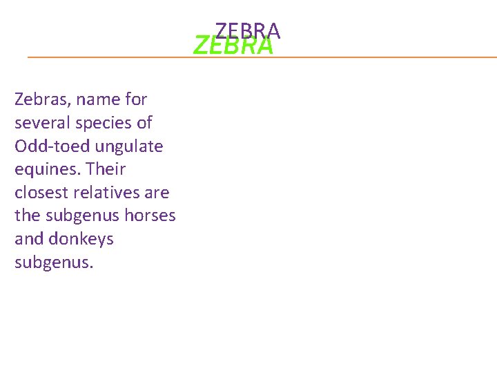 WILDLIFE ANIMALS SIBERIAN TIGER Siberian Tiger is the