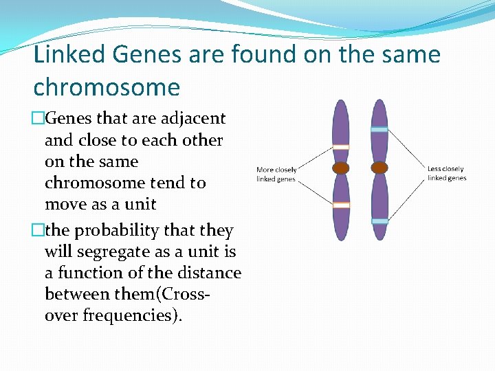 Essential knowledge 3 A 3 The chromosomal basis