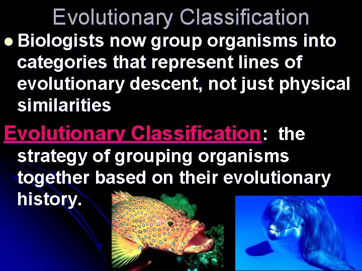 A Problem with Traditional Classification l l Traditional