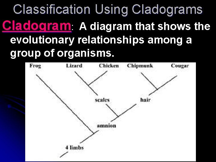 A Problem with Traditional Classification l l Traditional