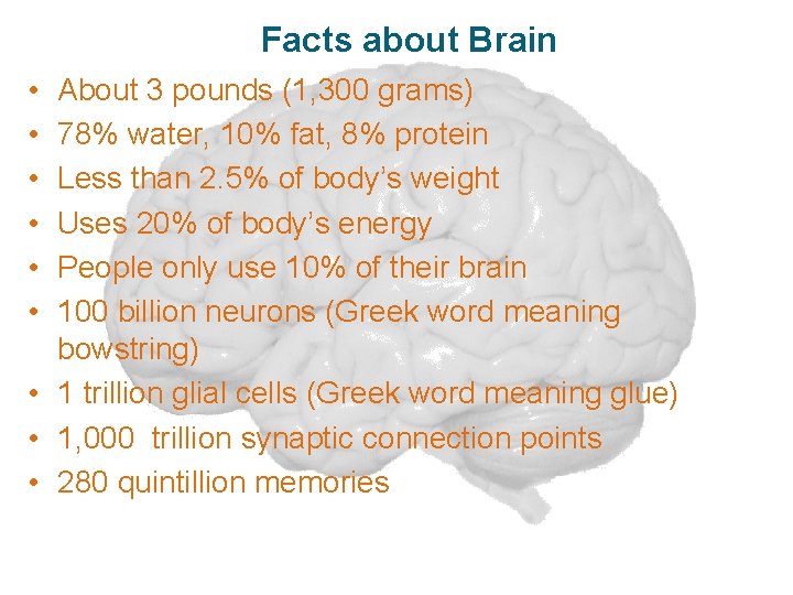 Human Brain the most complex living structure on