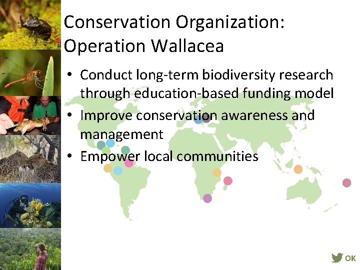 How long until the next bird Analysis of