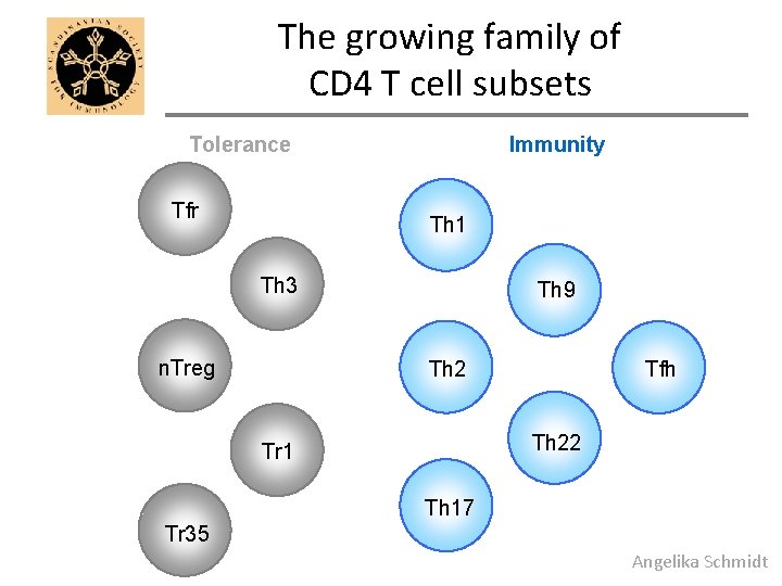 The four major subsets of CD 4 T
