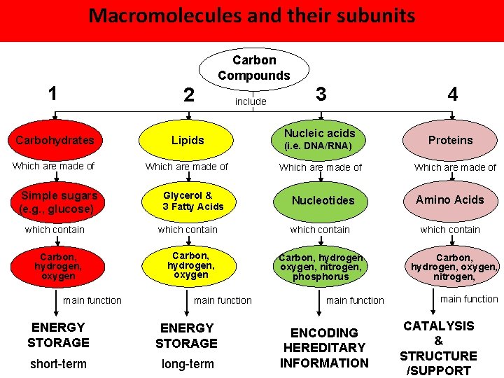 Macromolecules What is the relationship between atoms bonding
