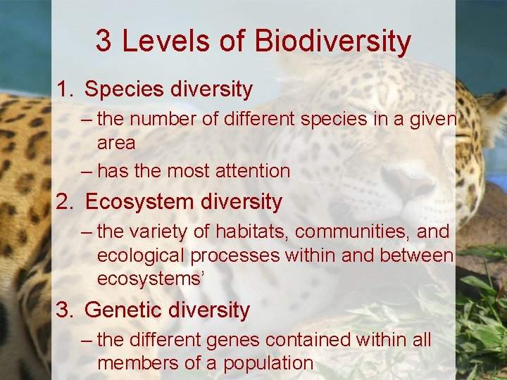 Biodiversity Chapter 10 Section 1 Ms Mandel Learning