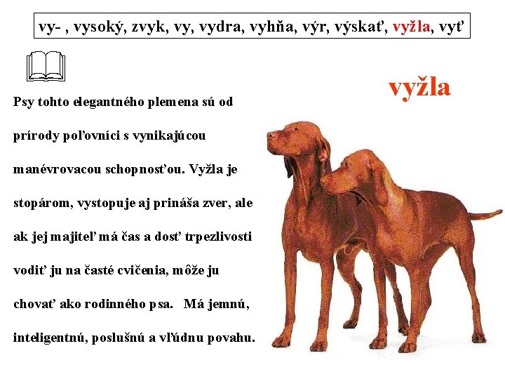 Slovensk jazyk pre 3 4 ronk Z Vybran