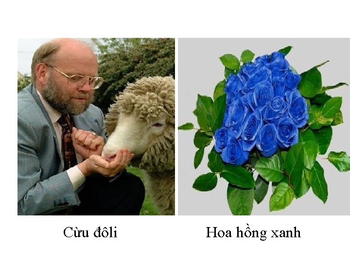 Kim tra bi c Tit 15 bi 14